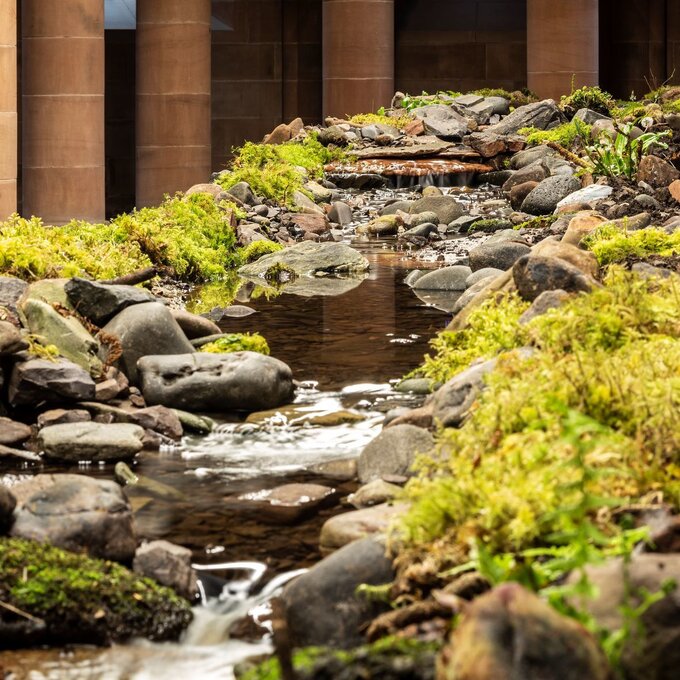 Contemporary Art What's on | Mount Stuart