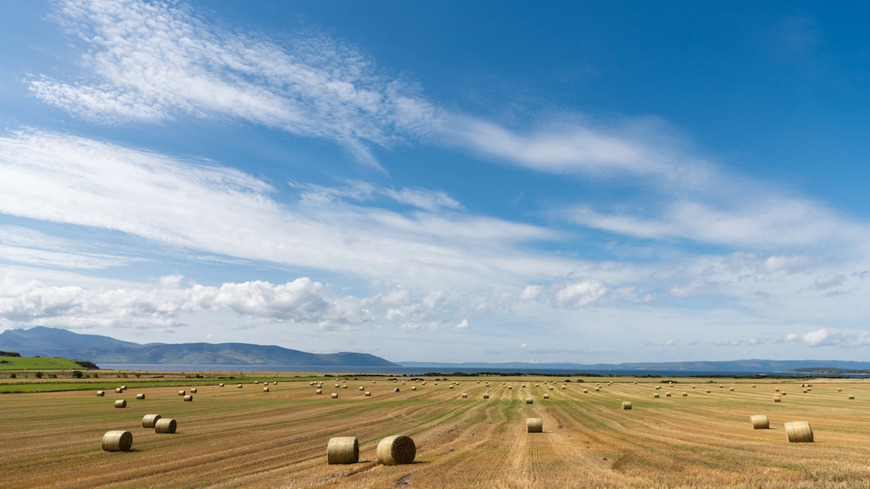 Katie Warden Appointed as Head of Rural Operations at… | Mount Stuart