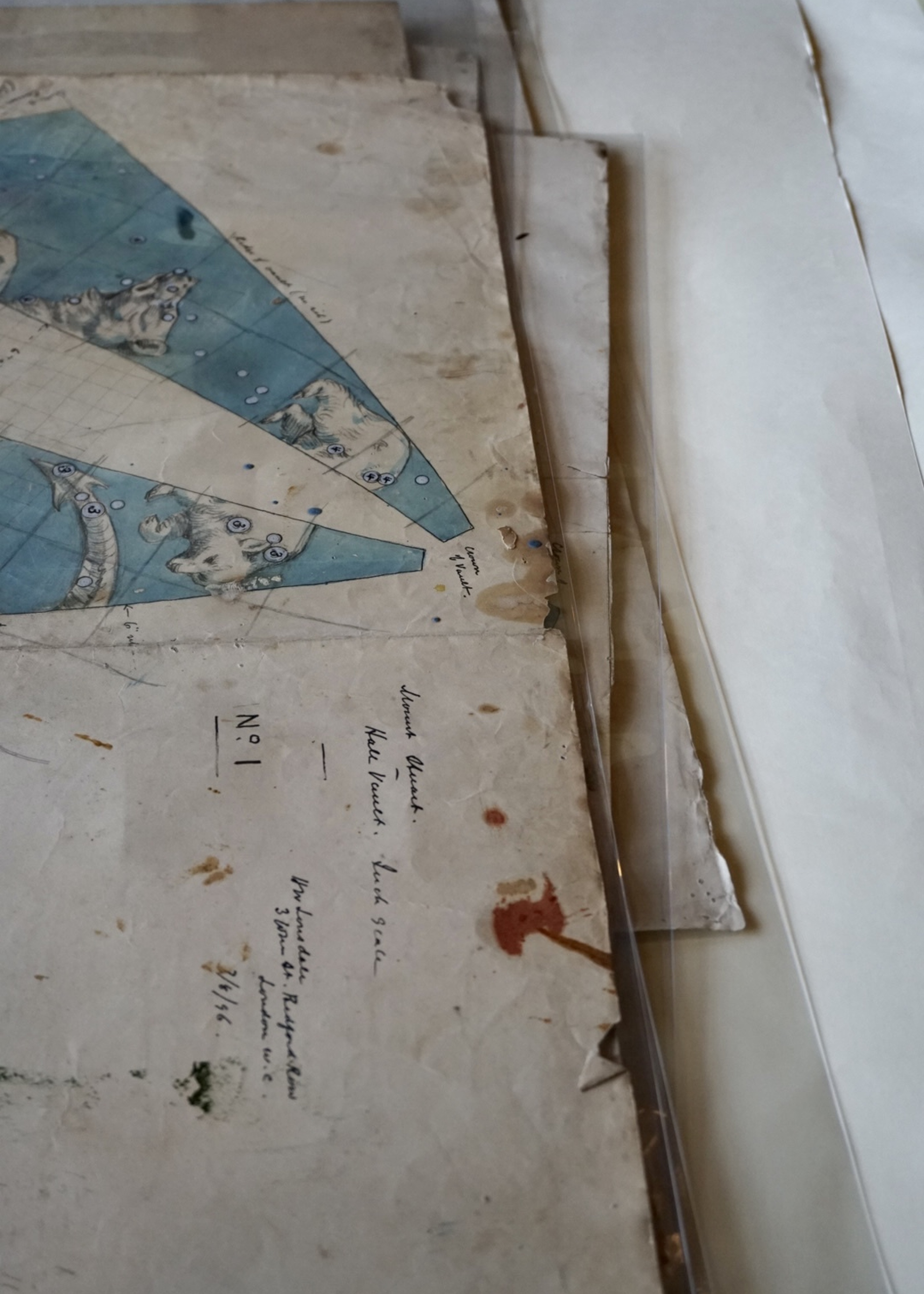 Constellations, Murals & Mythology: Exploring the… | Mount Stuart