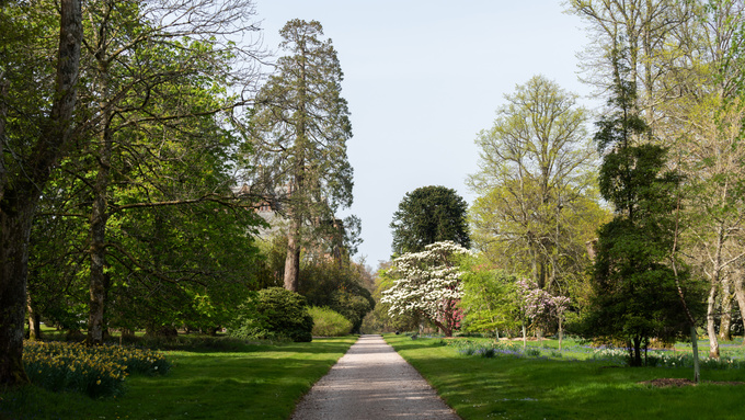 Gardens | Mount Stuart