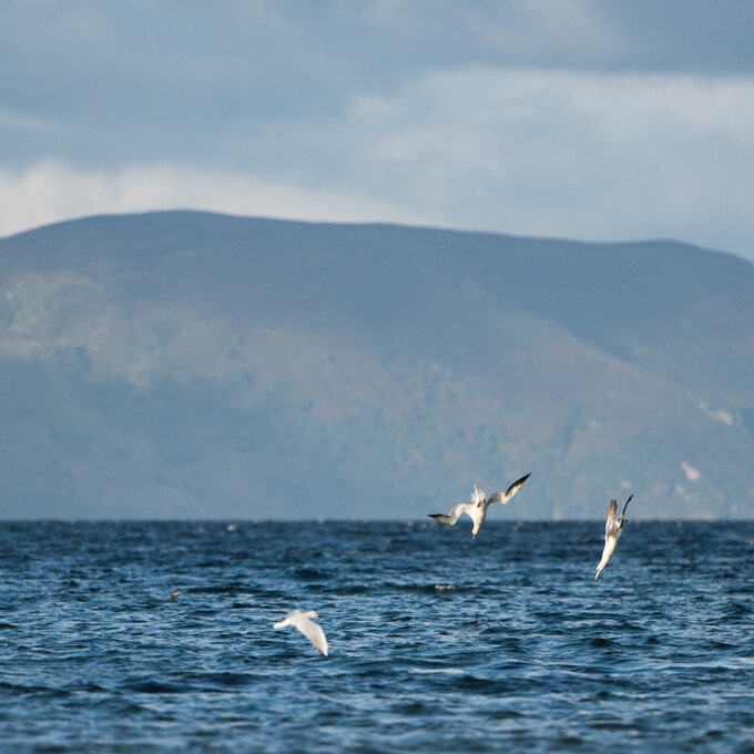Plan your visit | Mount Stuart
