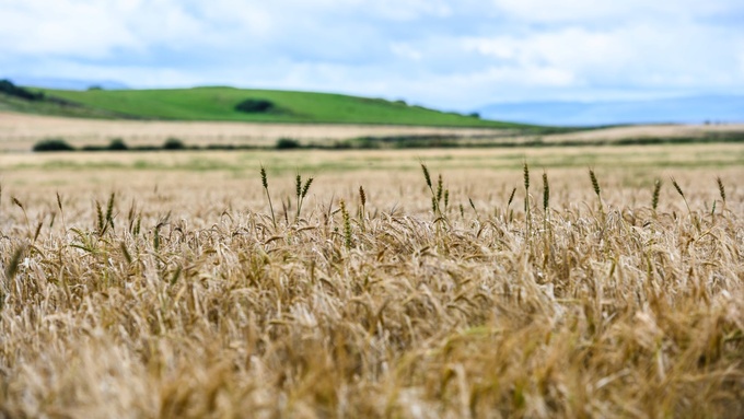 Rural | Mount Stuart