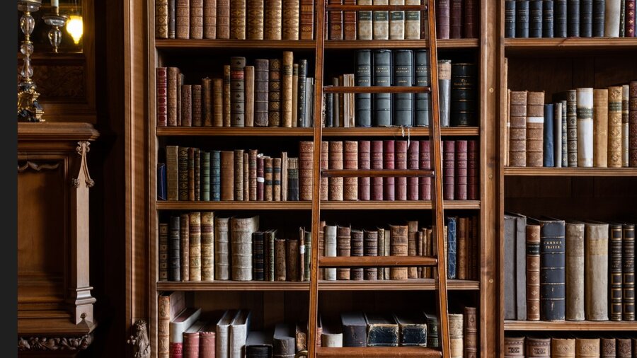 What's on | Mount Stuart