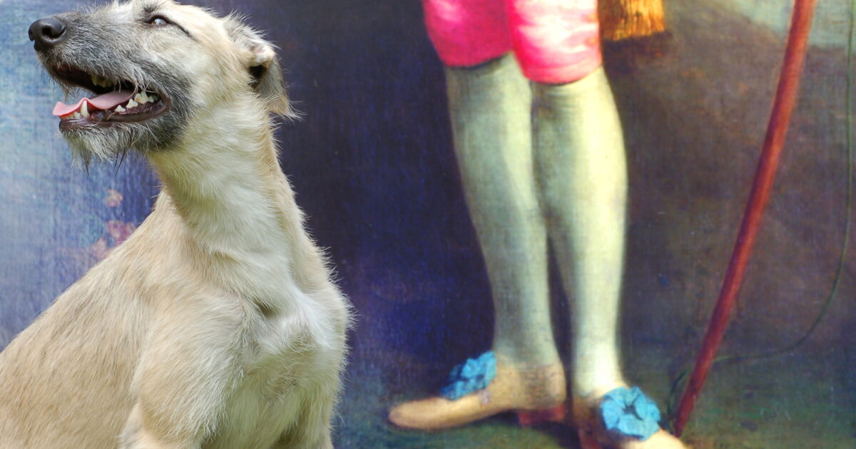 Mark Neville: Fancy Pictures (2008) | Mount Stuart