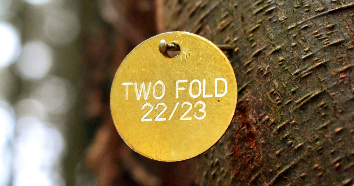 (TRANS(PLANT) by Maya Rose Edwards | Mount Stuart